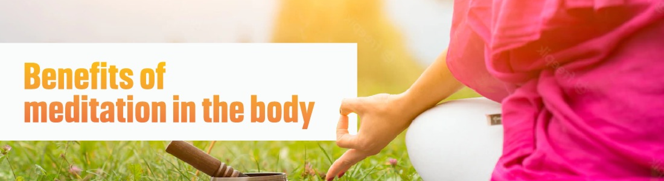 Benefits of Meditation in the Human Body